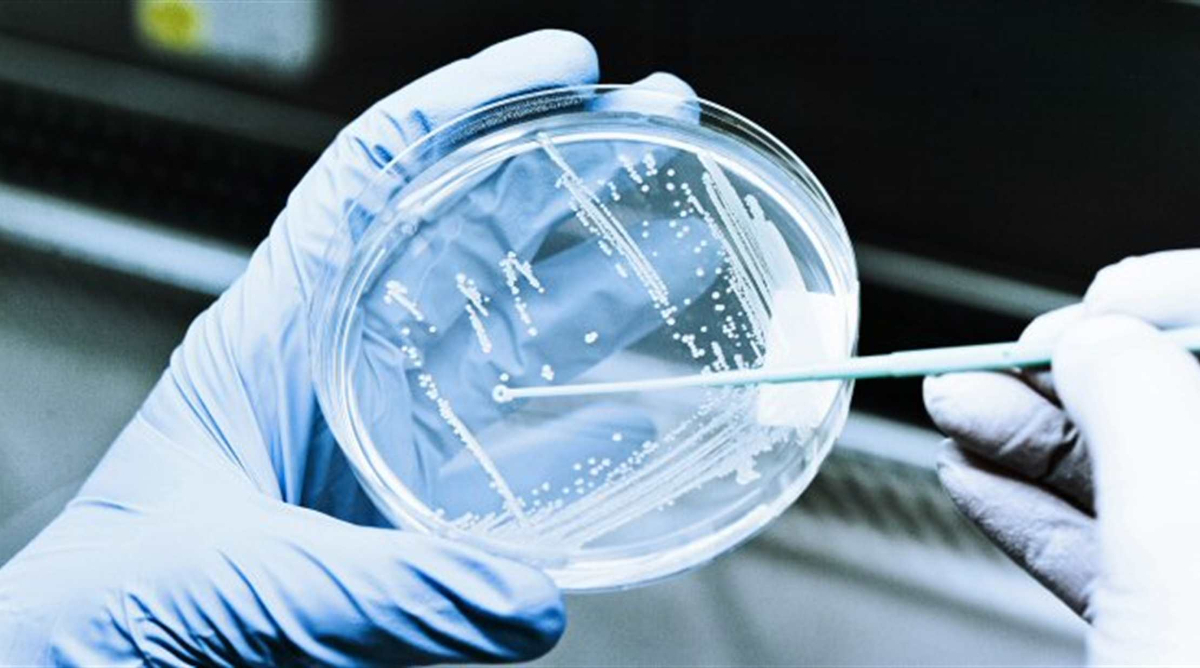 Apa Itu Patogen? Kenali 4 Jenisnya yang Sebabkan Penyakit